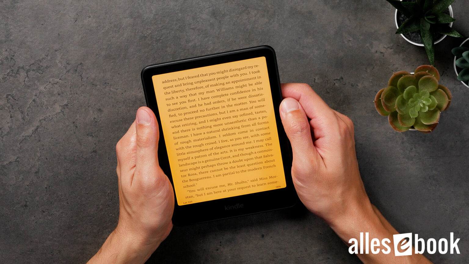 Kindle Colorsoft im Test: Amazon bekennt Farbe - ALLESebook.de